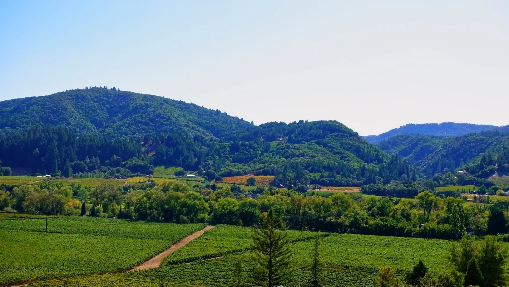 Trattore Farms TRATTORE FARMS AND WINERY Updated March 2025 428